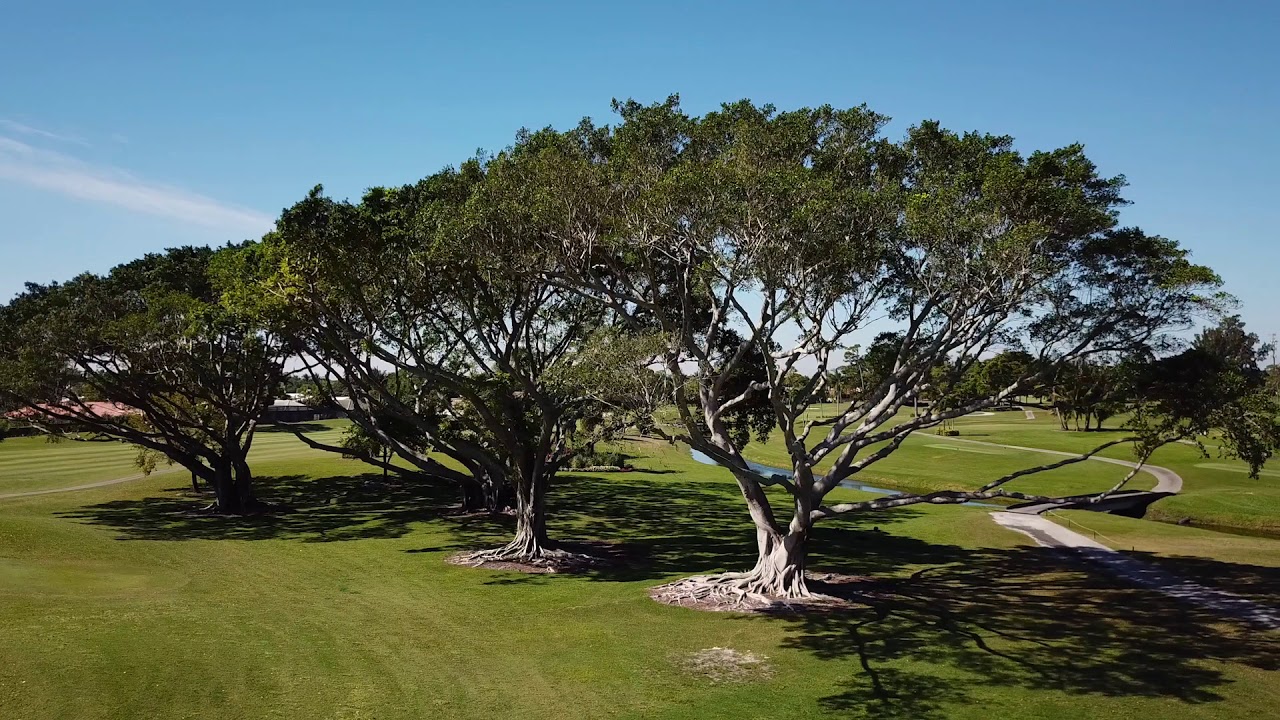 Atlantis Country Club Flyover 2018 - YouTube