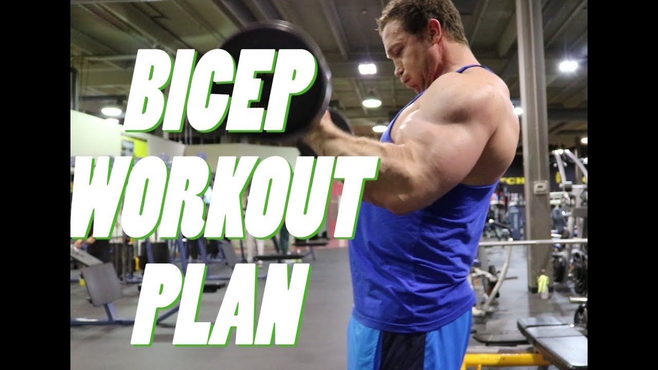 My bicep workout plan - How to grow big arms - Fitness motivation and ...