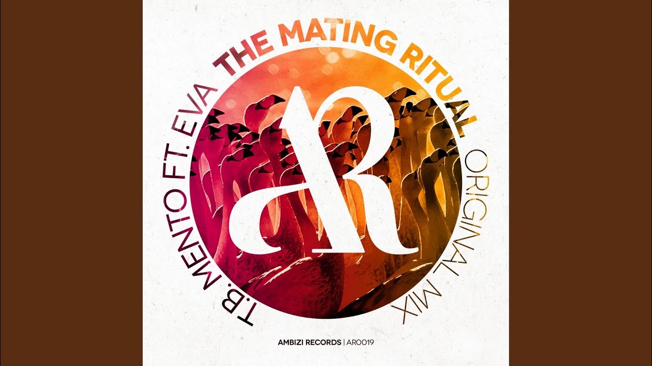 The Mating Ritual (Original Mix) - YouTube