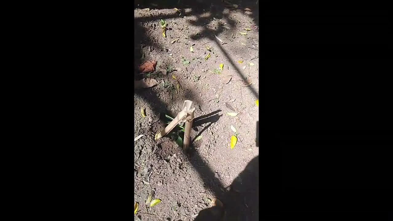 Magtanim Ng may anihin! - YouTube