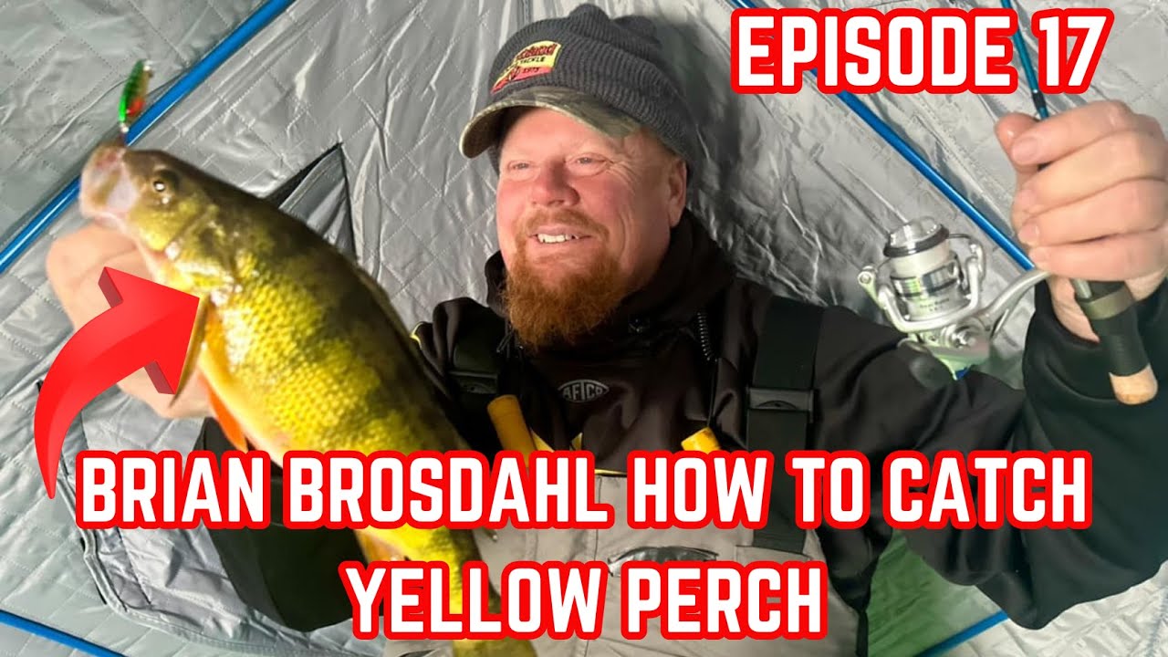Brian Brosdahl - How to Catch Yellow Perch - YouTube