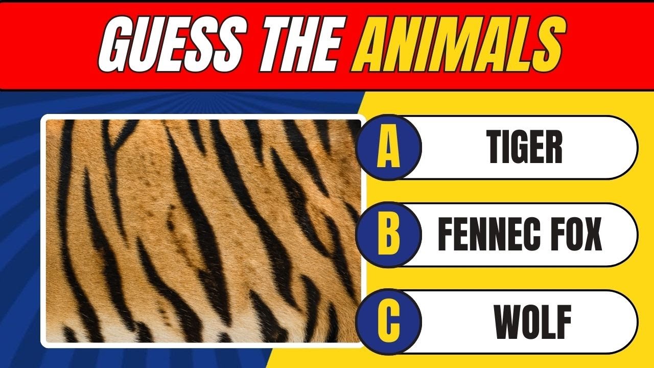 🔍 Can You Guess the Animals by Their Skin Texture? Animal Texture ...