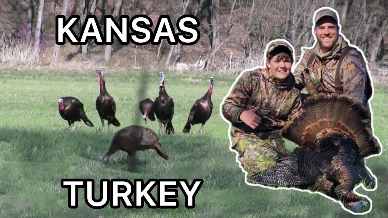 TURKEY hunting in KANSAS (TURKEYS EVERYWHERE!!!!) - YouTube
