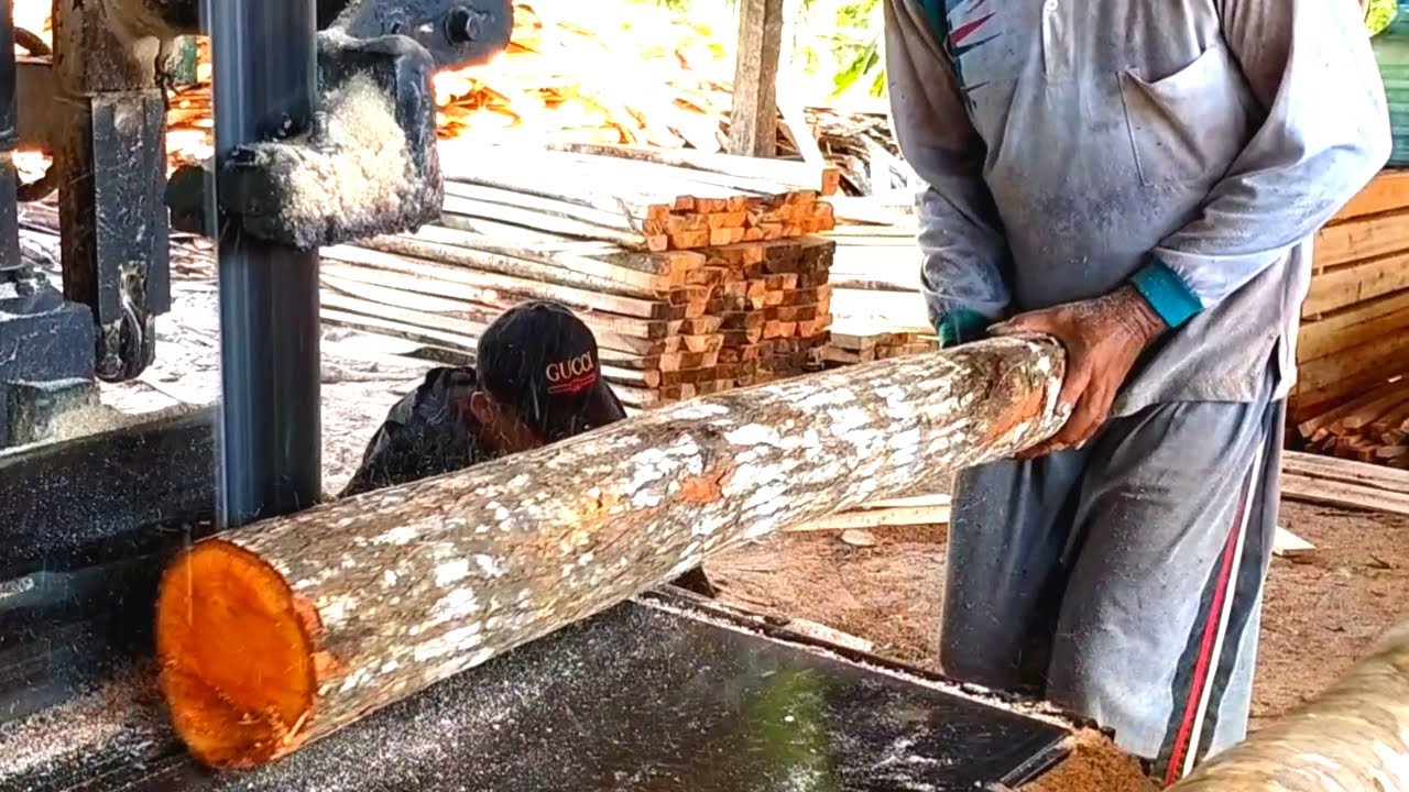 Ketangkasan tangan sangat diperlukan pada saat penggergajian kayu Jenis ...