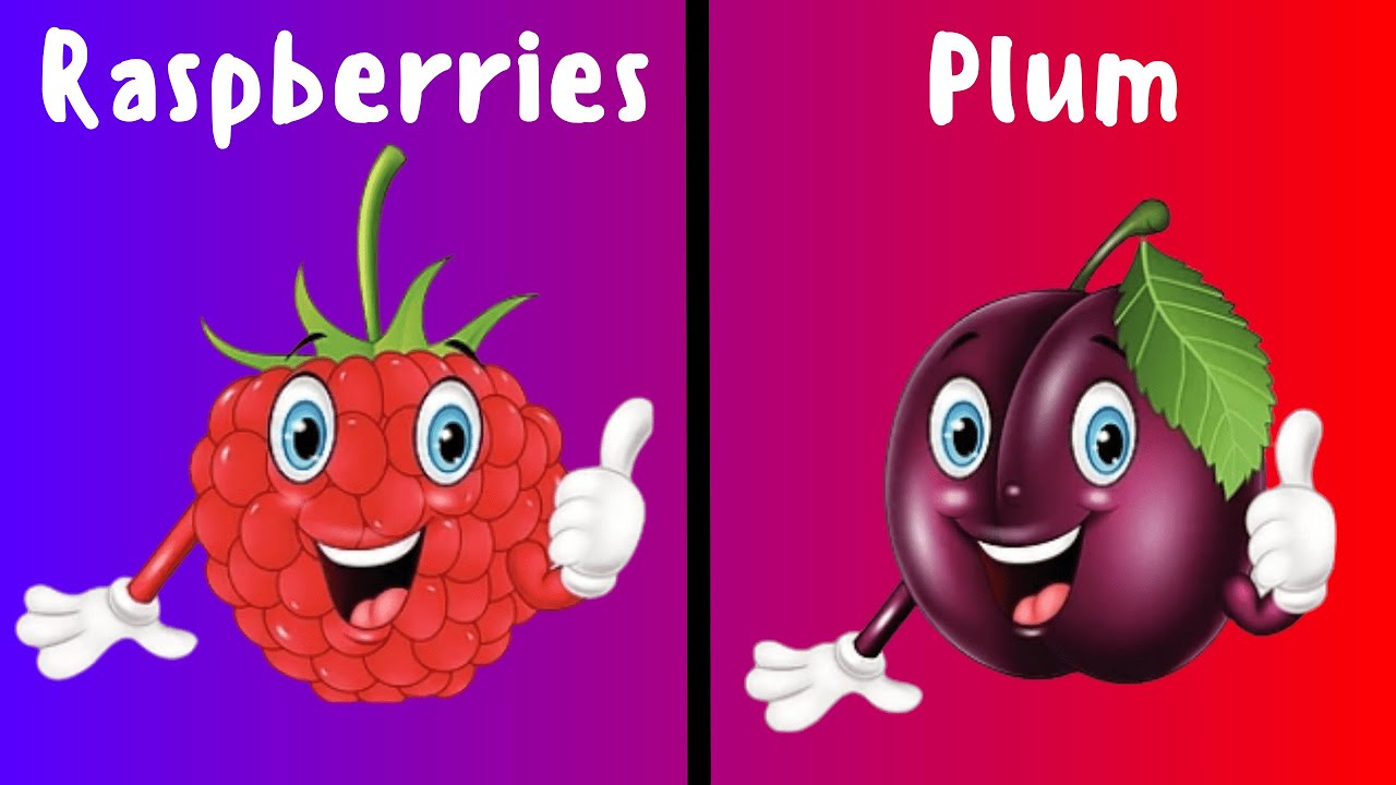 Raspberries, Plum | Learn Fruits and Berries | Fruit's Song - YouTube