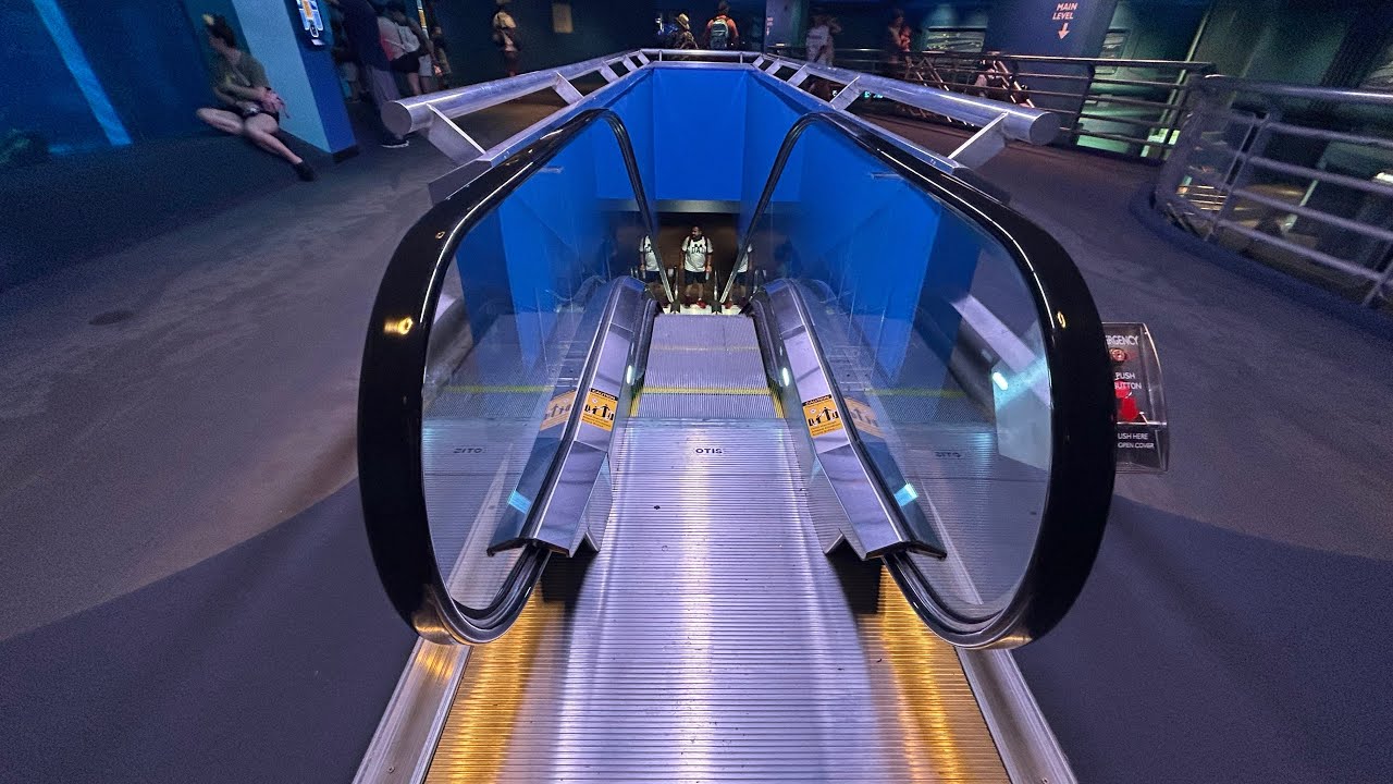 Otis Single-File Escalators At The Sea’s At Disney’s Epcot In Lake ...