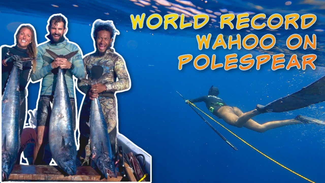 Freediver Steph's World Record Wahoo on Polespear! - YouTube