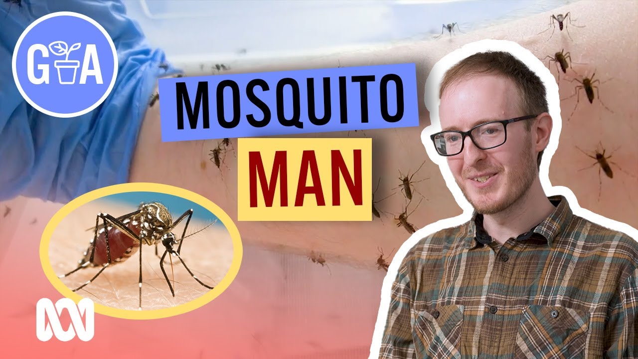 Mosquito Man Perran Ross | My Garden Path | Gardening Australia - YouTube
