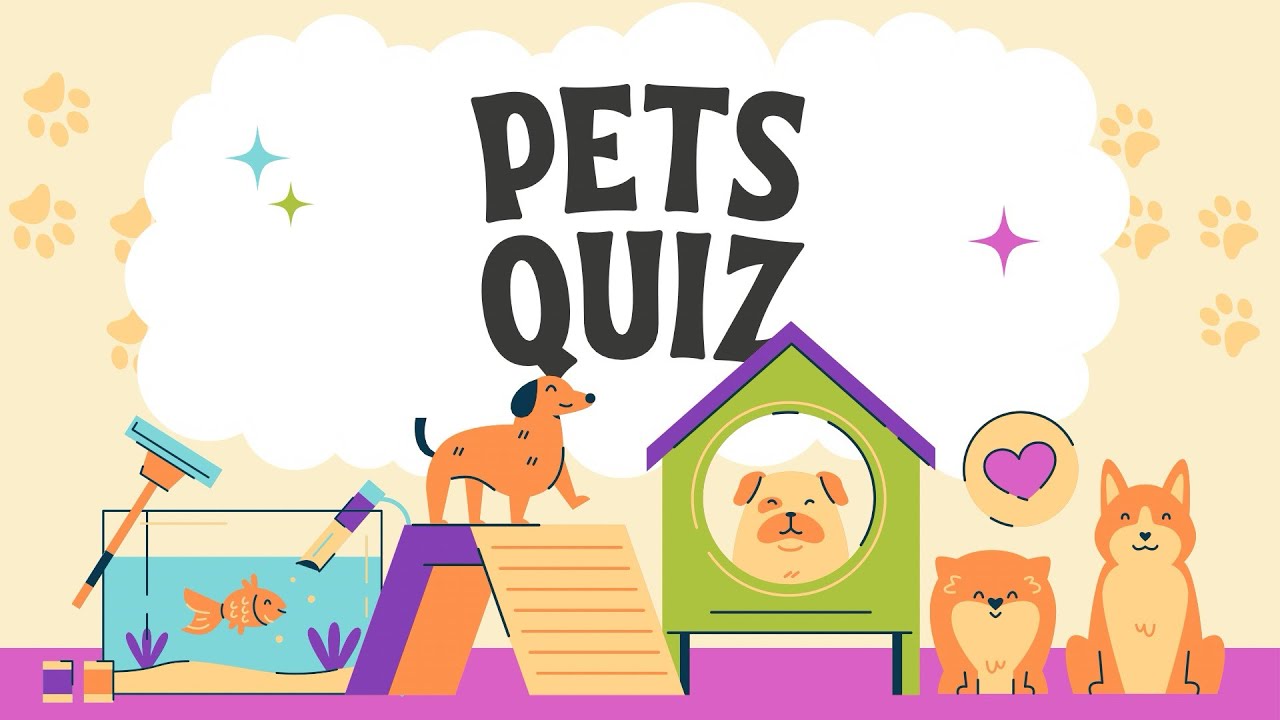 Pets Quiz for kids - YouTube