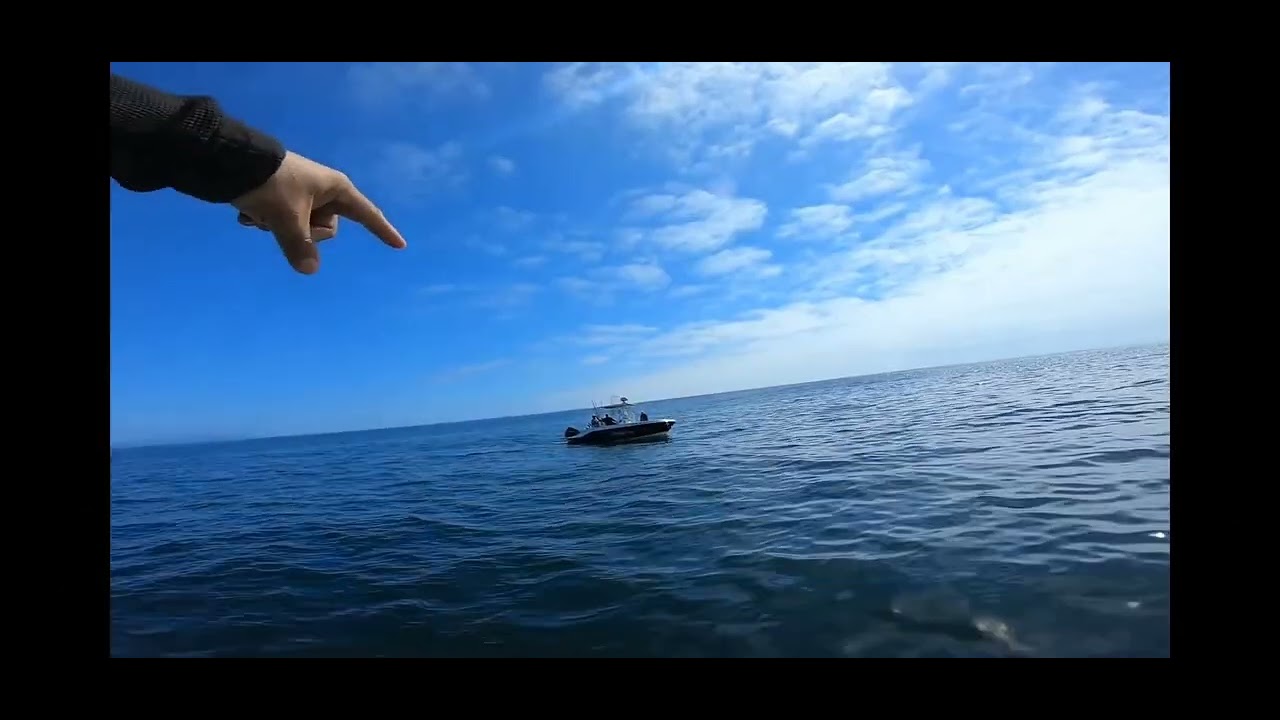 Trophy 22cx looking nice on the ocean 13 miles off shore - YouTube