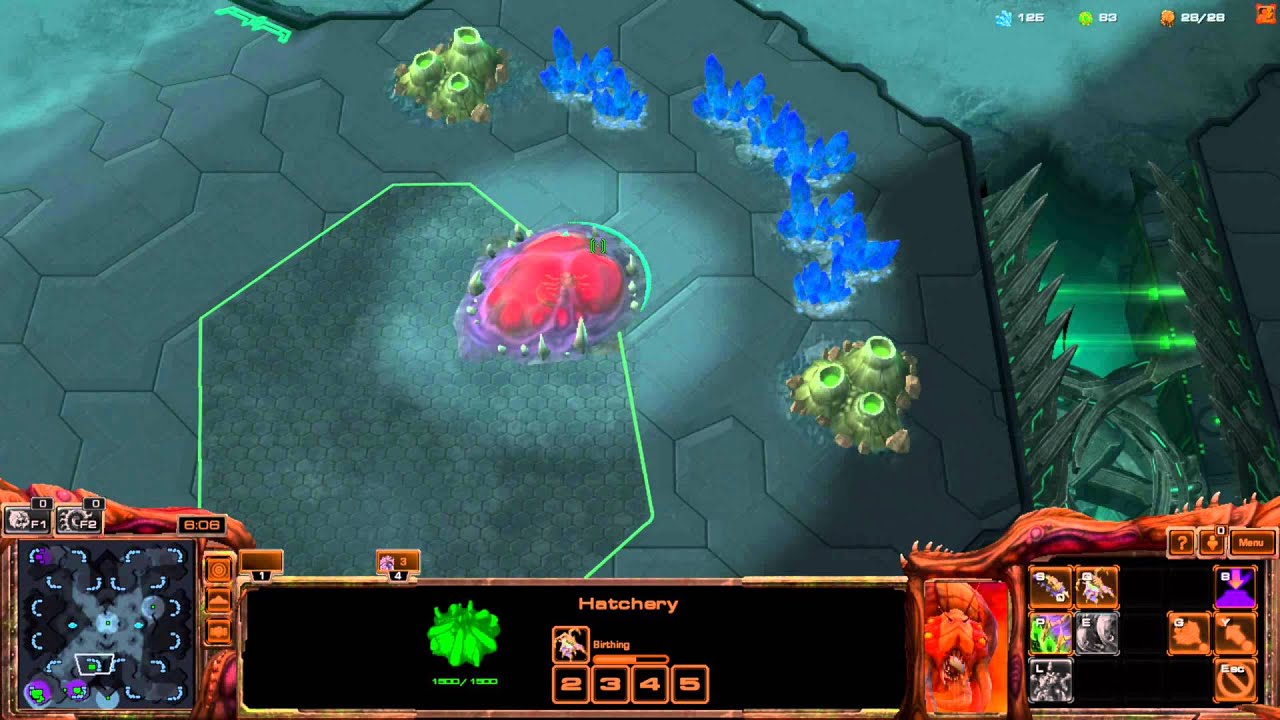 How to Queen Larvae Inject and Hotkey Zerg in Starcraft 2 - YouTube