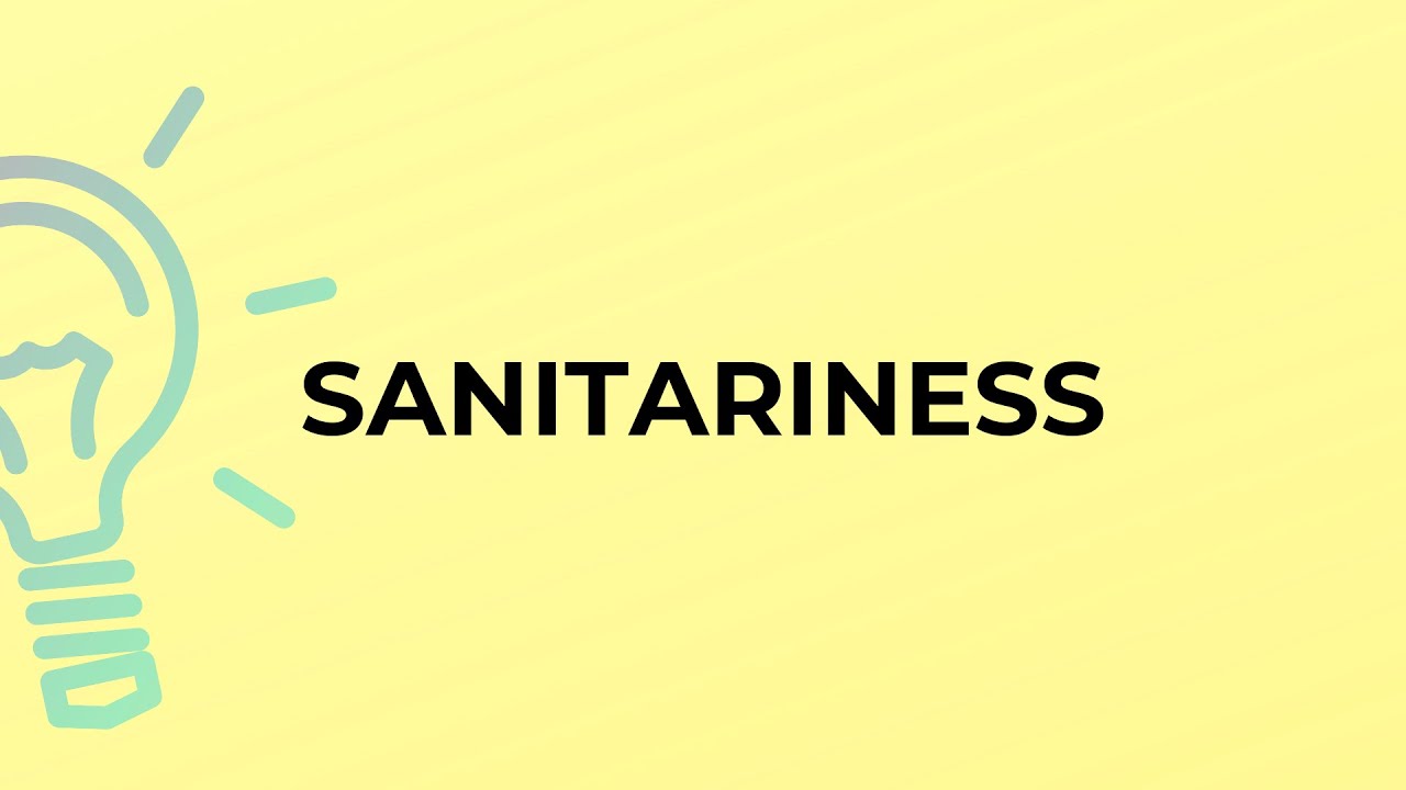 What is the meaning of the word SANITARINESS? - YouTube