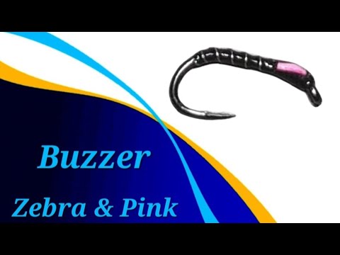 Zebra & Pink buzzer - YouTube