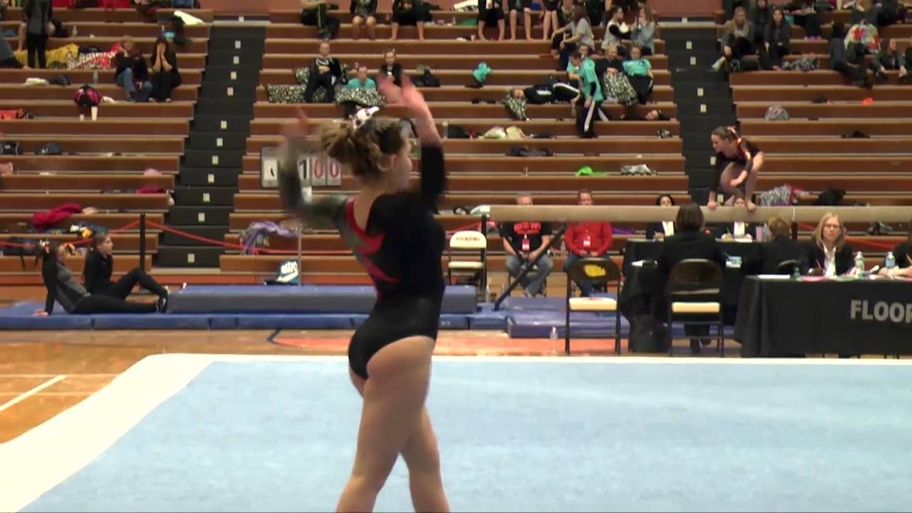 2015 MHSAA Team Gymnastics State Finals - YouTube