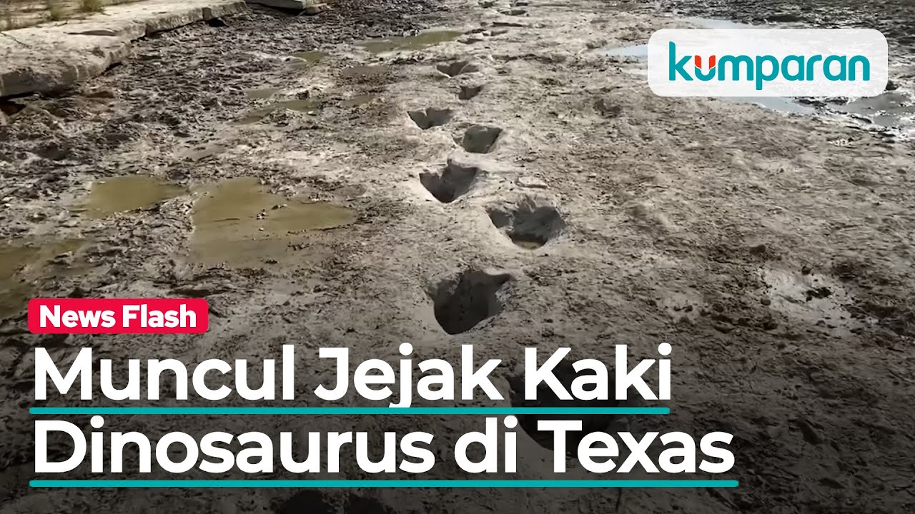 Jejak Kaki Dinosaurus Raksasa Muncul di Dasar Sungai yang Mengering di ...