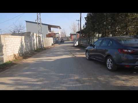 YAYCI GEZİNTİSİ - 1