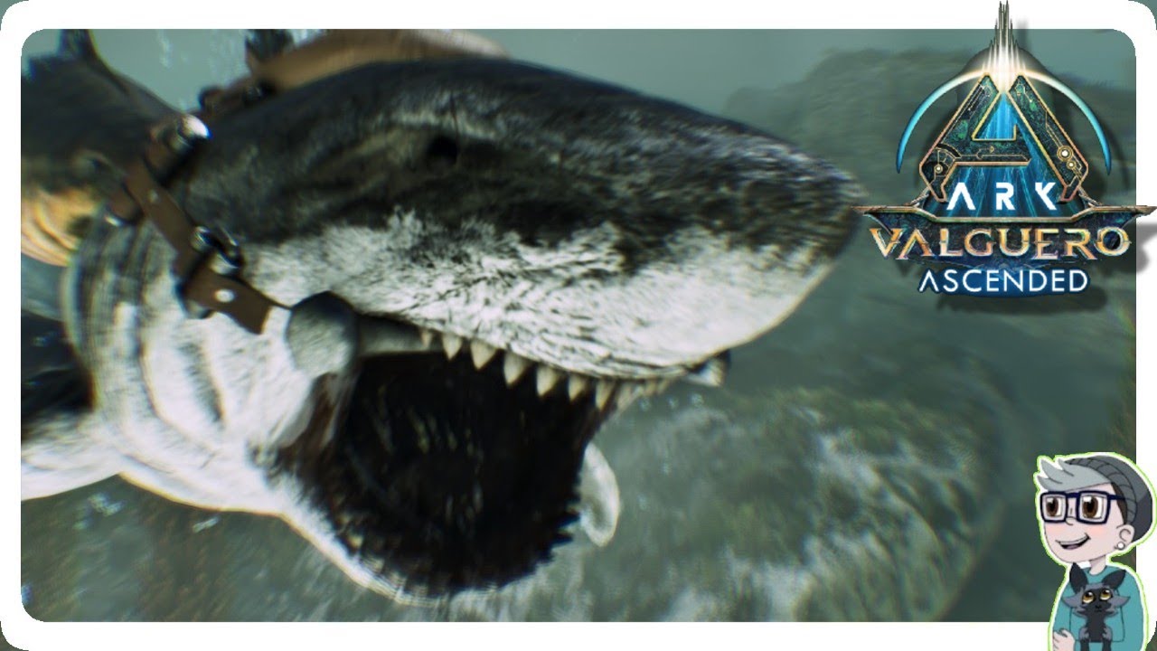 Taming Megalodon For Black Pearls And Surprise Max Rex : Ark Survival ...