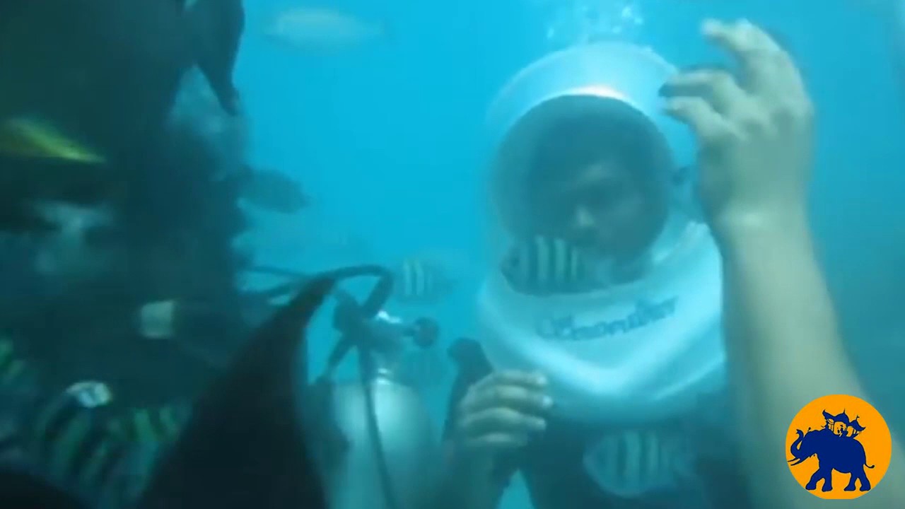 Sea Walk in North Bay Island Andaman - YouTube