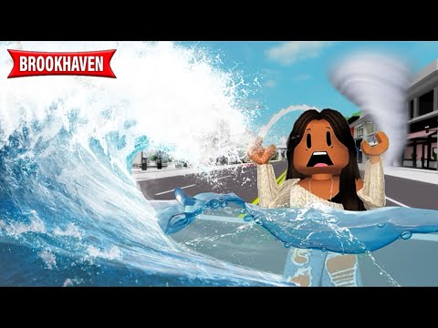 Natural Disasters UPDATE In Brookhaven!