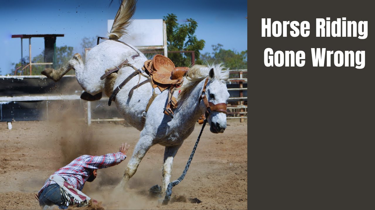 Horse Riding Gone Wrong - 5 Essential Expert Trainer Tips to Avoid ...