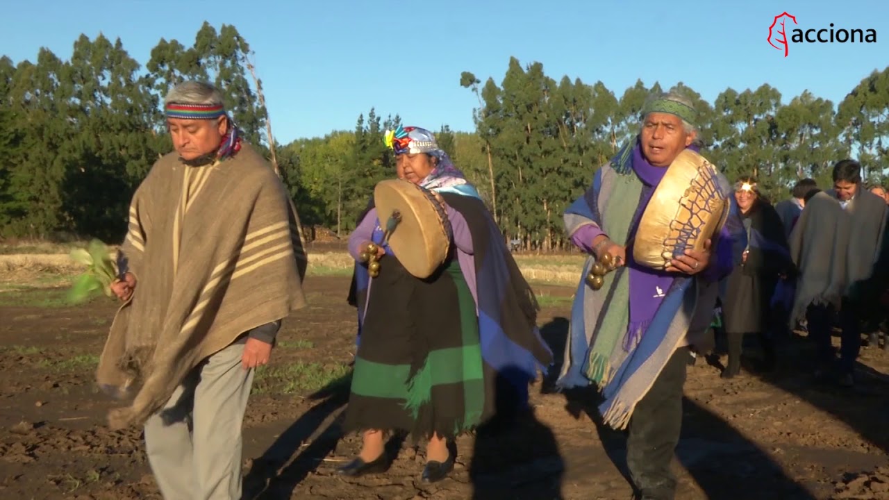 Ceremonia mapuche en el parque eólico San Gabriel (Chile) | ACCIONA ...