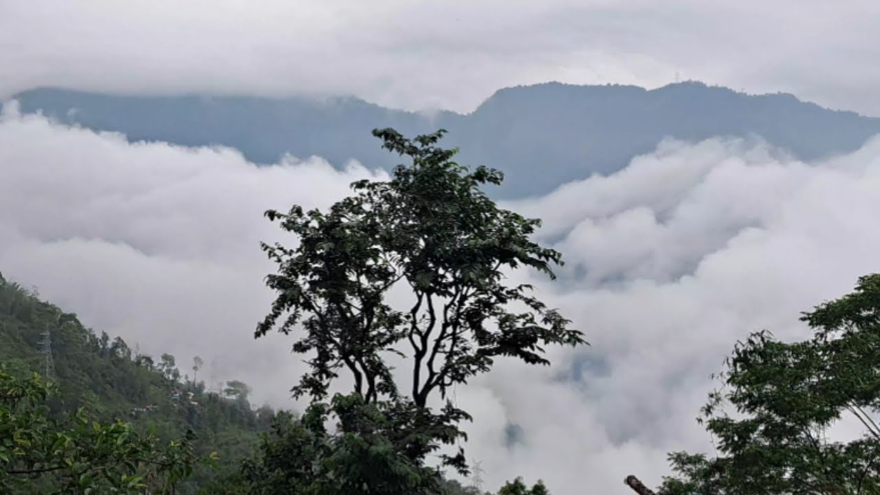 SPRING SEASON/SIKKIM BEAUTIFULLY NATURE ADOPTED - YouTube