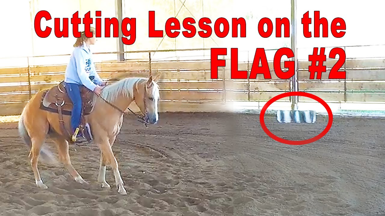 Cutting and Cow Horse Lesson On The Flag #2 - How To Ride, Train And ...