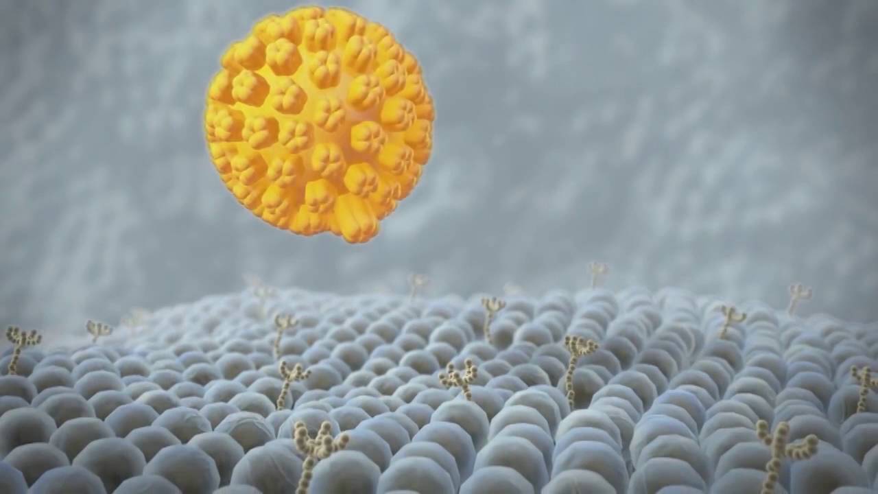 Melanoma Cancer Cure With Virotherapy - Rigvir Virus - YouTube