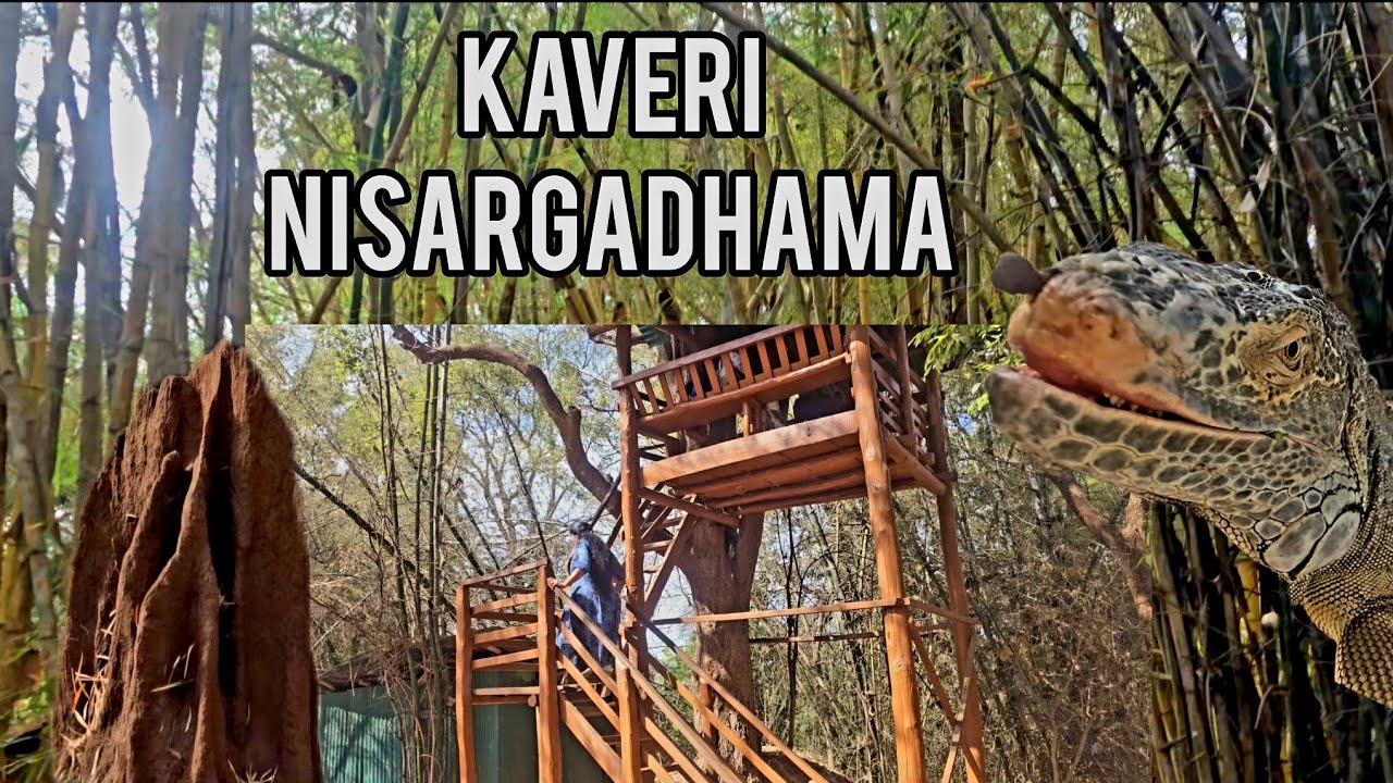 Kaveri Nisargadhama/ coorg tourism/ kusalnagar / Karnataka / India ...