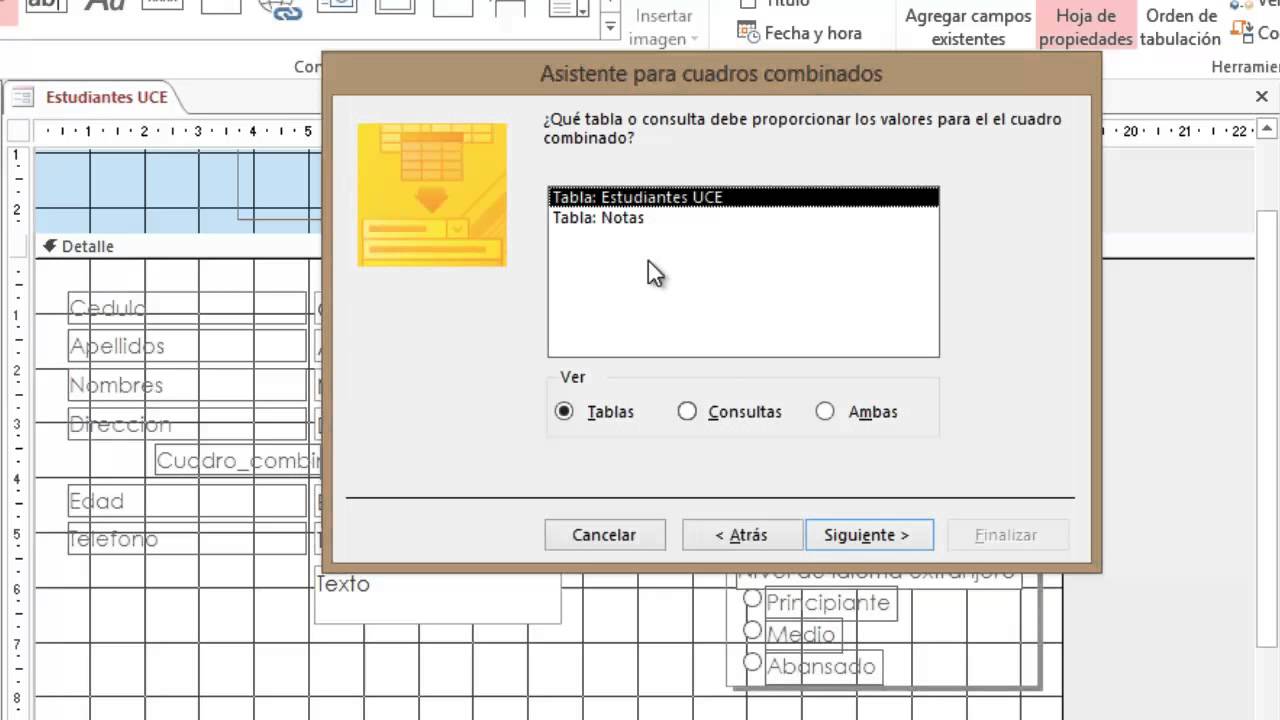 Botones de control de Access (2da parte) - YouTube