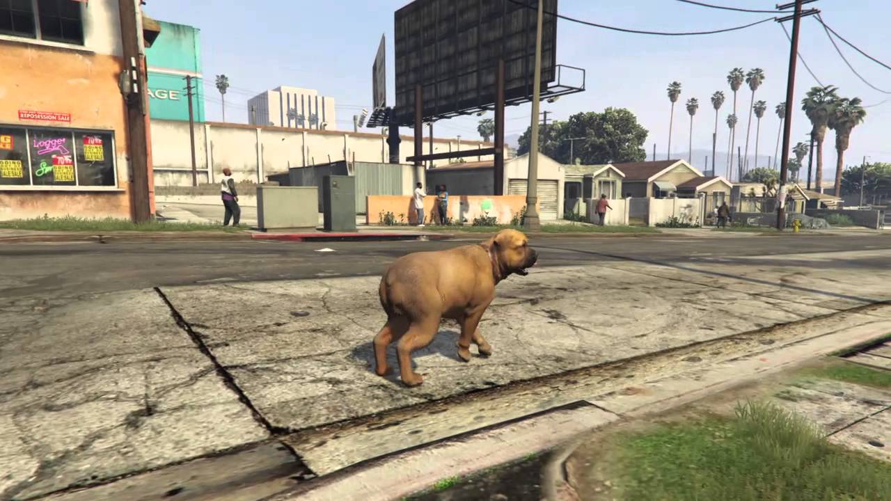 Grand Theft Auto V dog rampage - YouTube