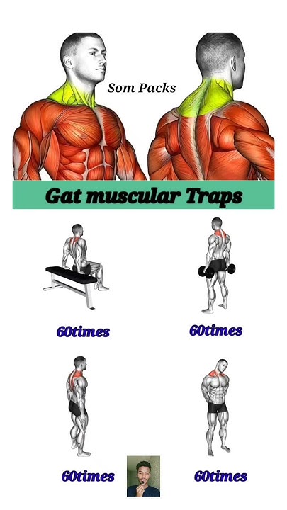 4 Different Traps Exercises For Men Traps Youtubeshorts Trapsworkout Workout Youtube