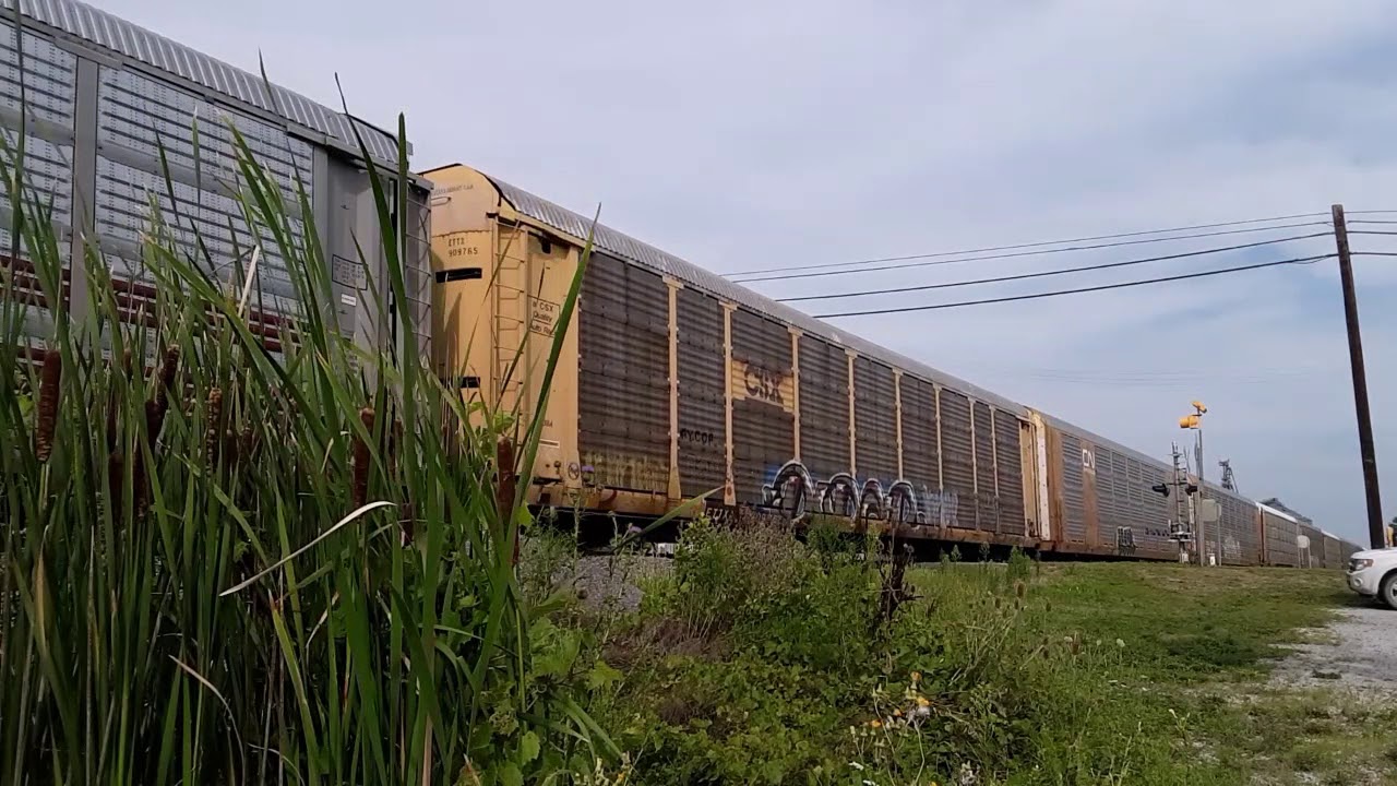 CN 3196 and 3883, First Nations and 100th Anniversary - YouTube