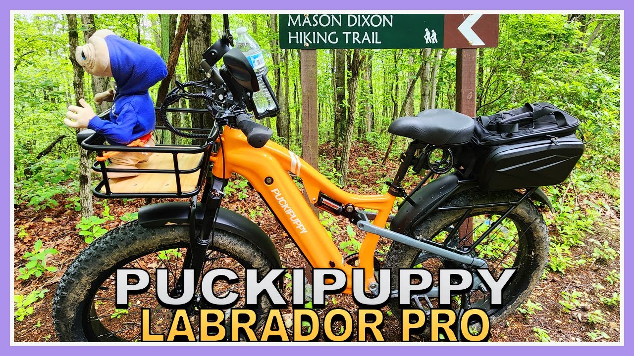 The Puckipuppy Labrador Pro LOVES to Explore the Woods; Streams; and ...