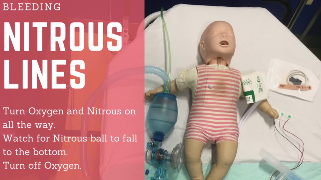 Bleeding Nitrous Lines - YouTube