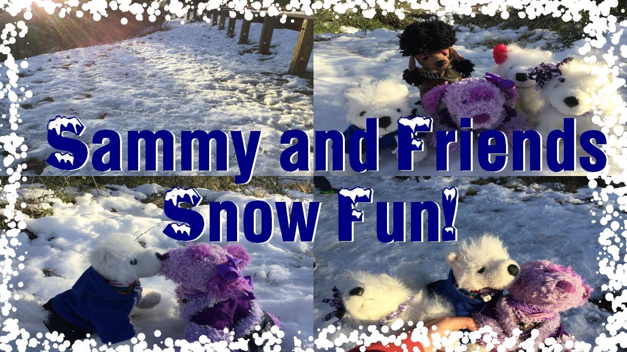 Sammy and Friends Snow Fun! - YouTube
