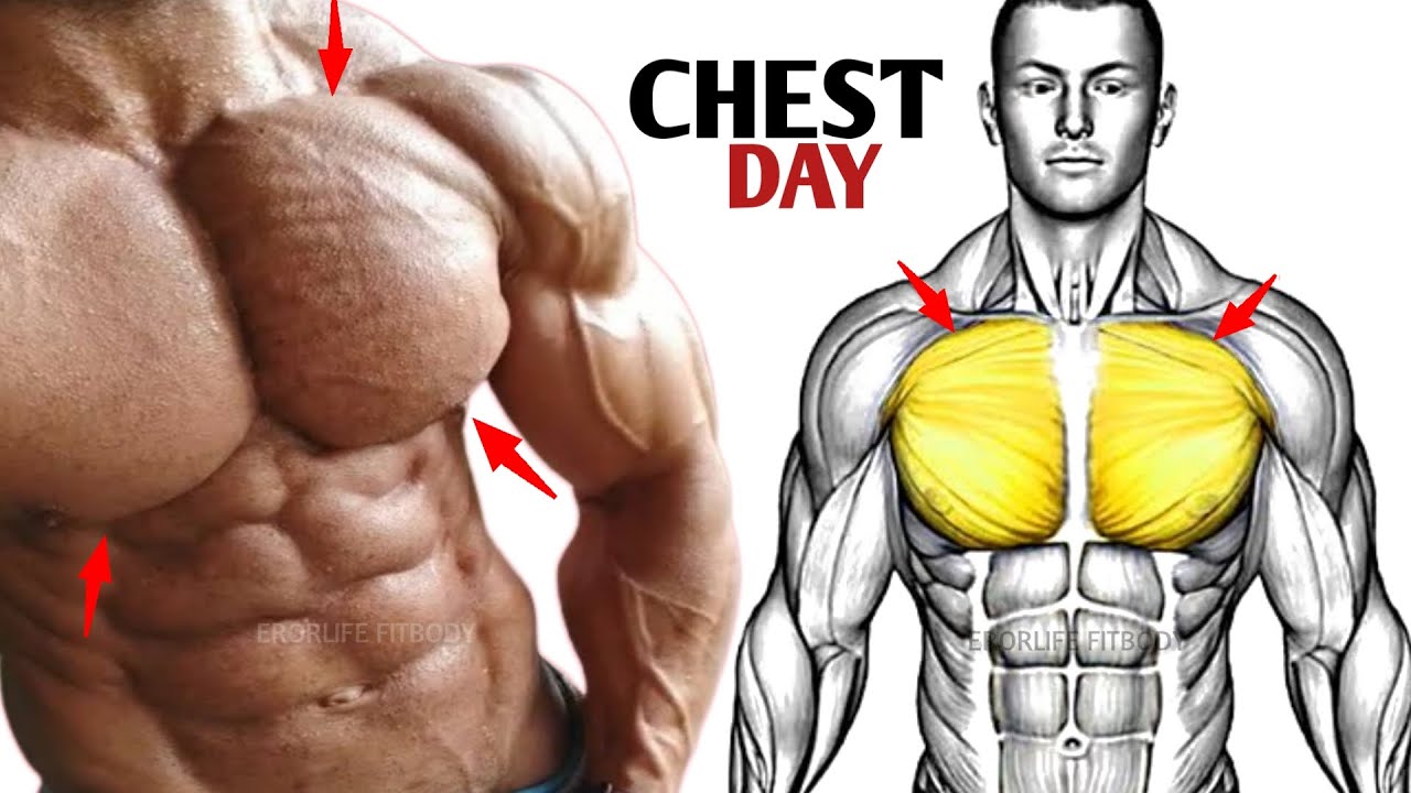 Best 6 Exercises to Build an Broad Chest | ERORLIFE FITBODY - YouTube