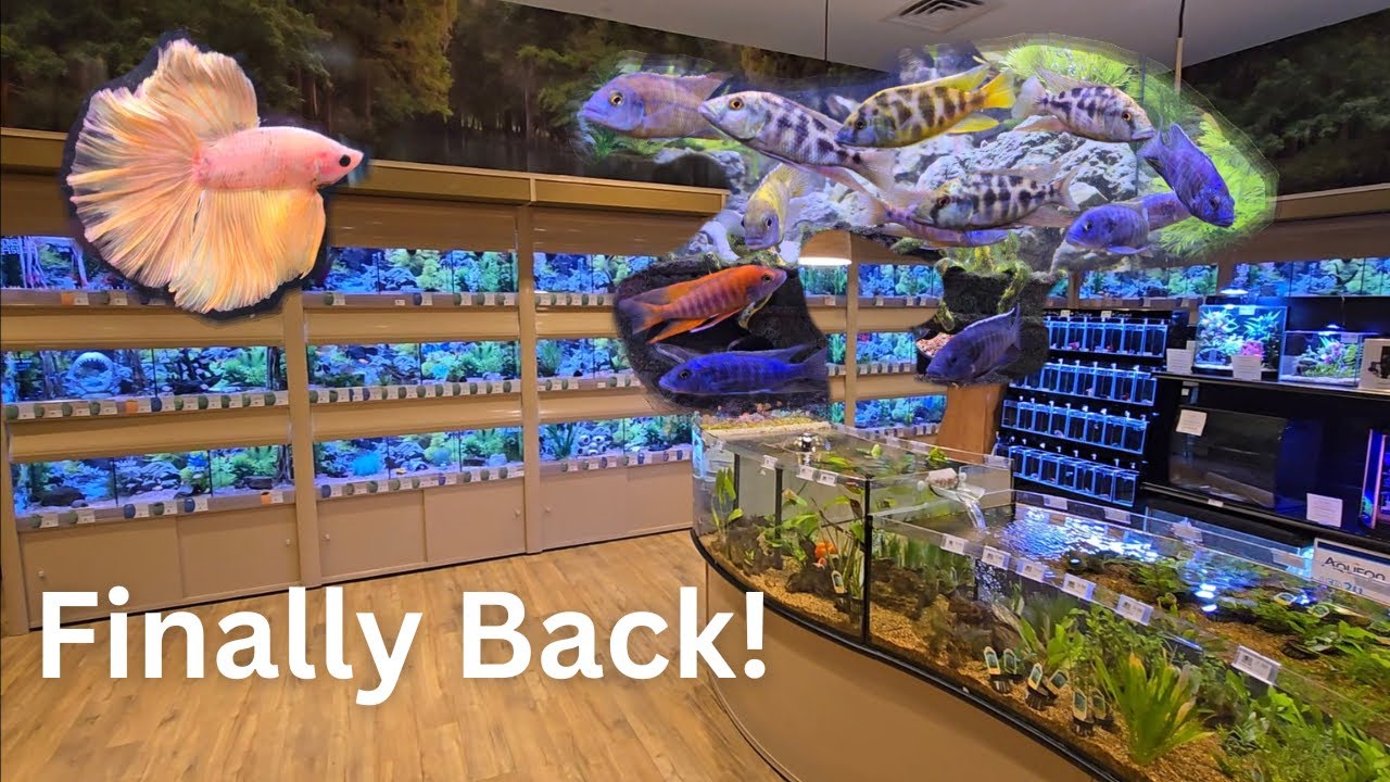 Finally Back! Full Fish Store Tour: PetCenter Old Bridge - YouTube