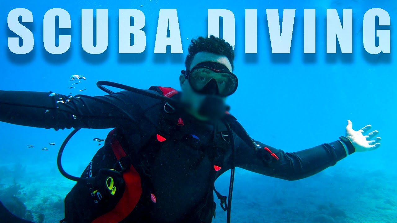 Scuba Diving Adventure | Key West Coral Reef - YouTube