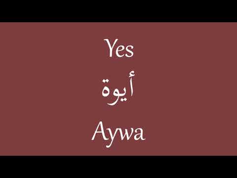 How To Say Yes in Egyptian - Egyptian Academy - YouTube