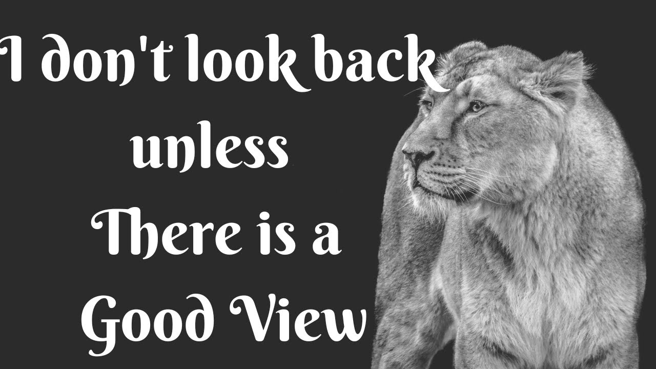 Tiger mentality| Tiger inspirational quotes|Tiger mindset and attitude ...