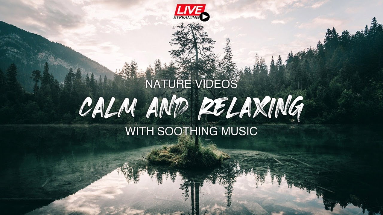 LIVE Calm and Relaxing videos with Soothing music Compilation by ...