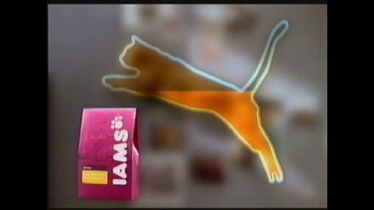 Iams Advert 2001 - UK - YouTube