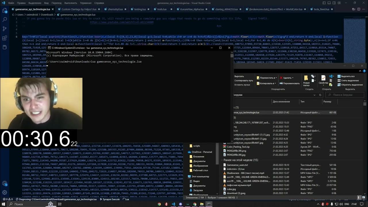 GAMESENSE.XYZ LUA CRACK SPEEDRUN ANY% - YouTube