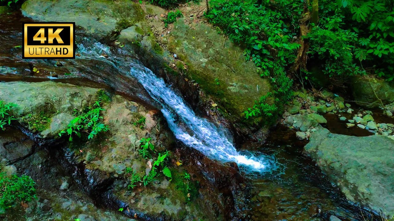 Relax with the peaceful flow of a mountain stream, great for focus ...