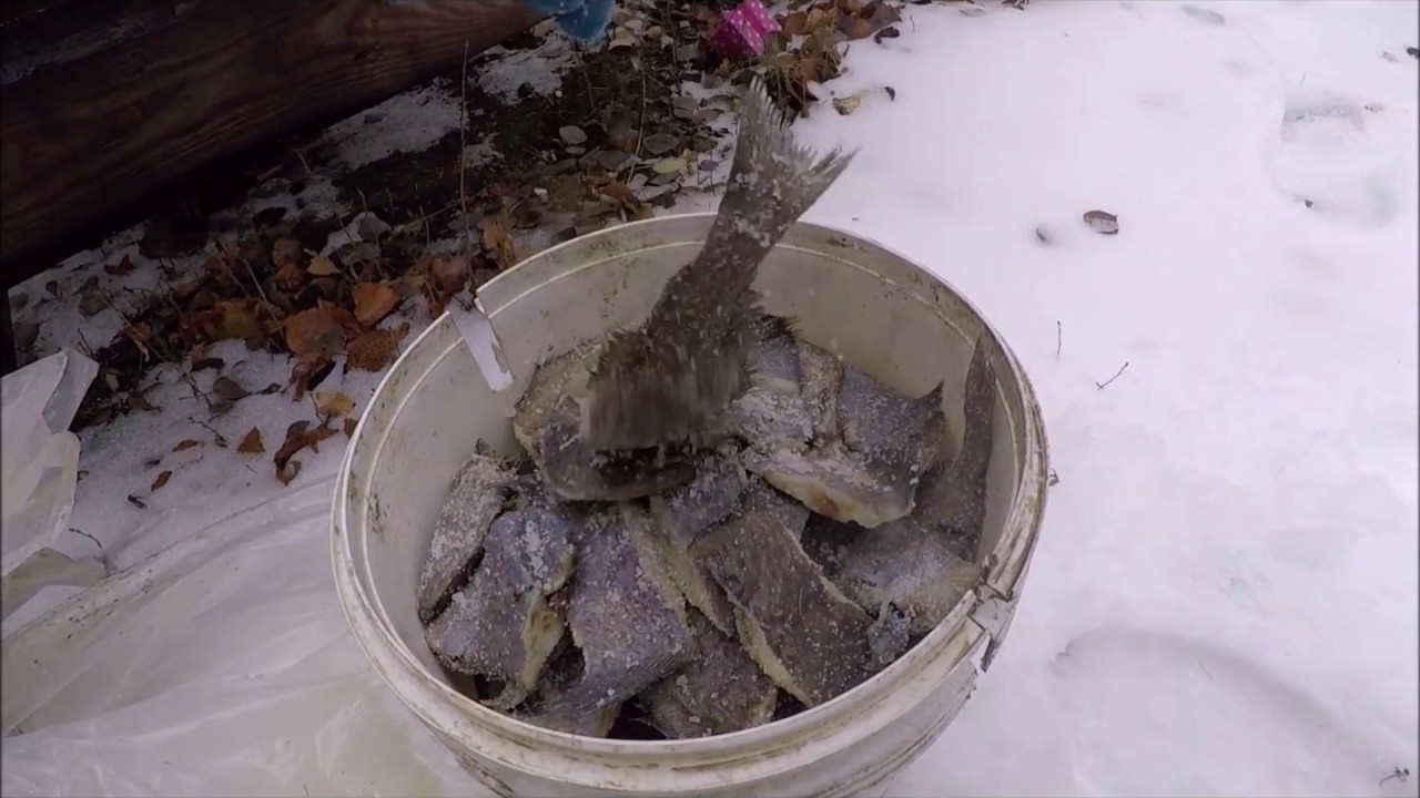 Seal Oil & Skunk Essence (Marten LDC) - YouTube