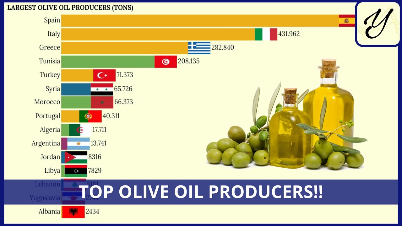 Largest OIL OLIVE producers of the world - YouTube