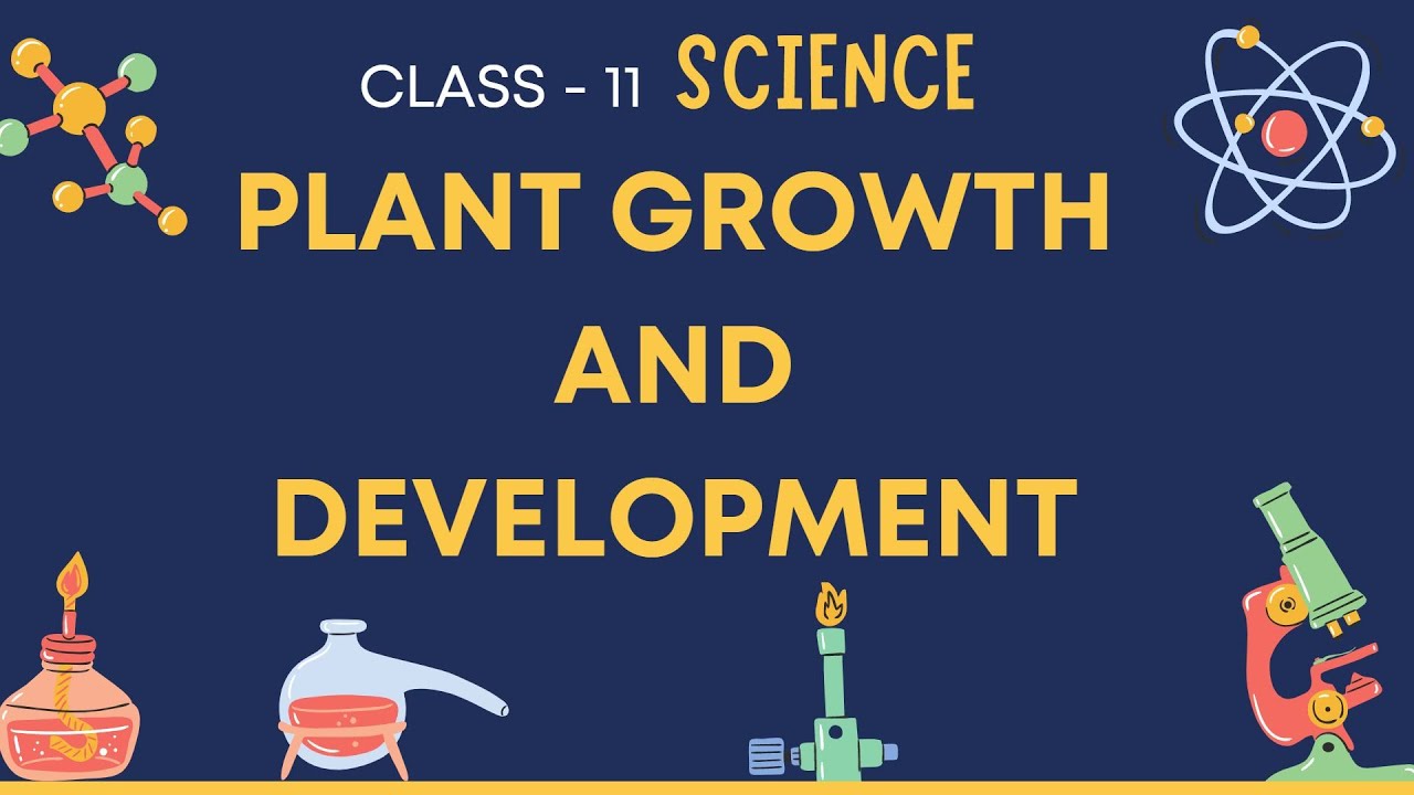Plant Growth And Development | Class 11 | CBSE | ICSE | NEET - YouTube