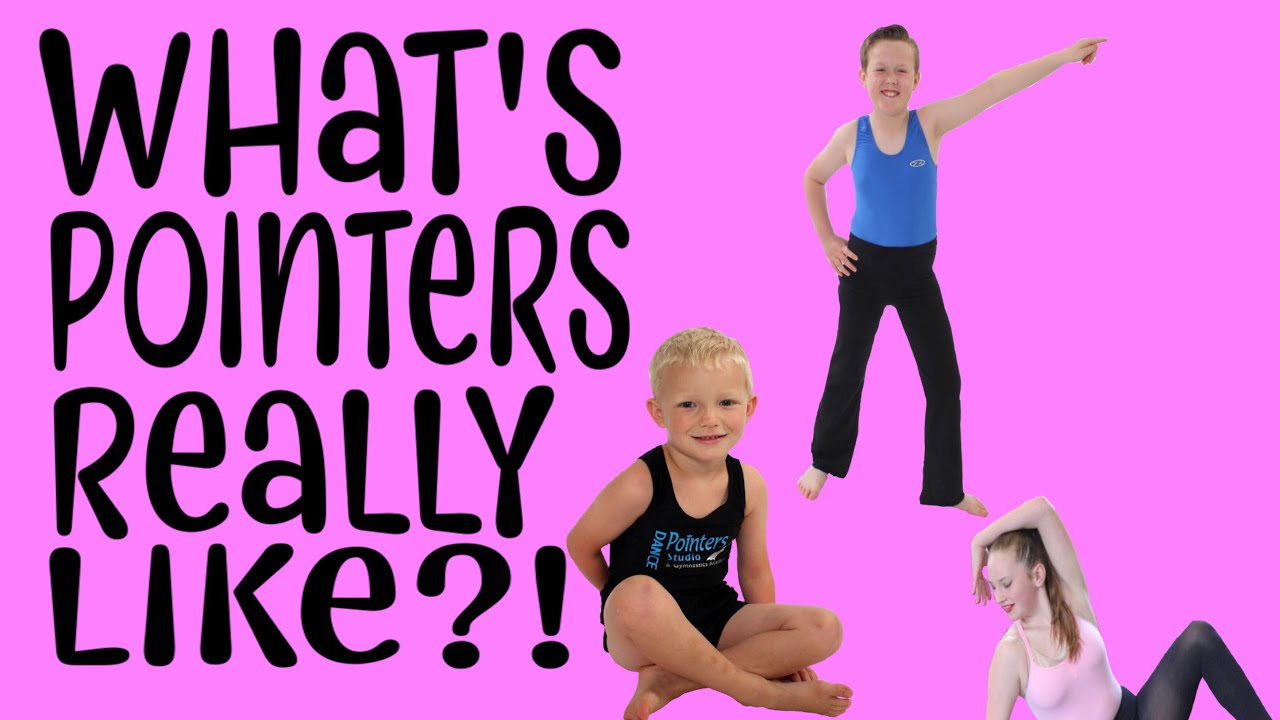 A DAY IN THE LIFE OF A POINTERS KID - YouTube