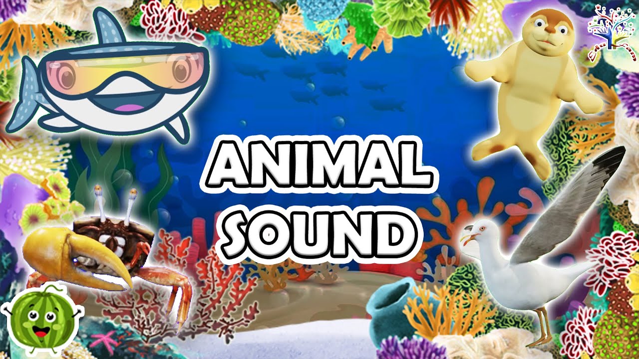 Marine Animal Sound : Entertaining and Educational Song for Toddlers ...
